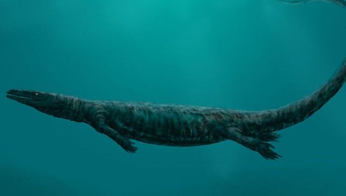 What Have We Got To Lose?: A Brief History of Mass Extinction Events ...