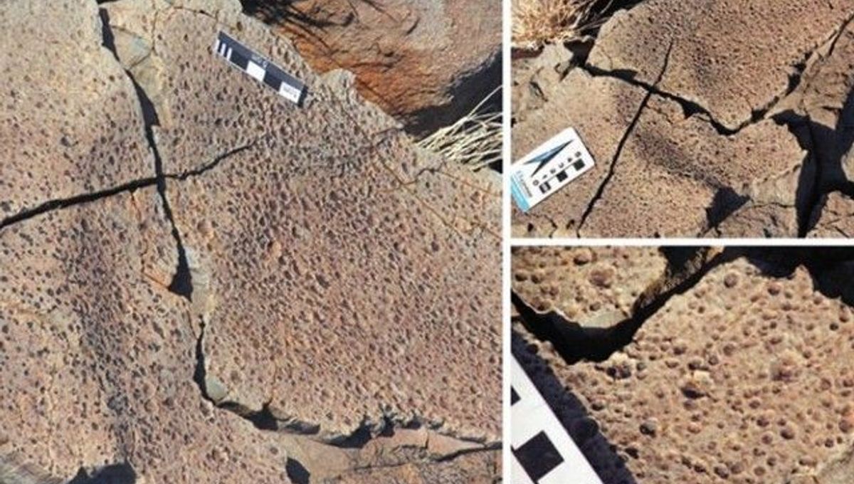 2.7 billion-year old fossilised raindrops | IFLScience
