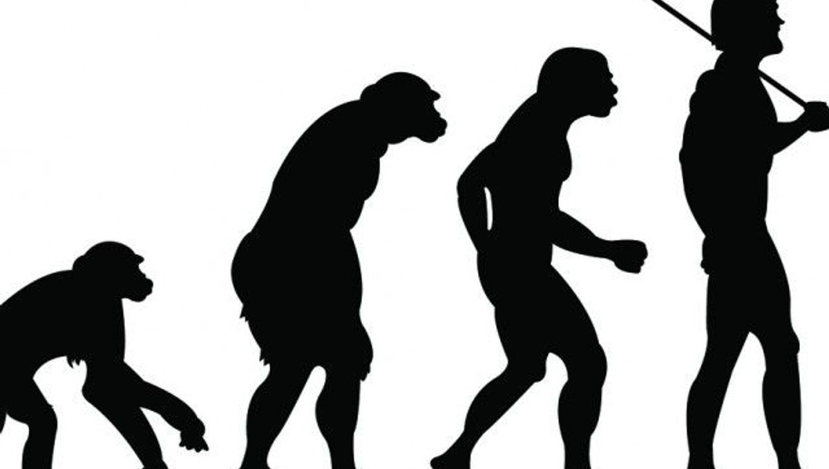Interbreeding Among Early Hominins | IFLScience