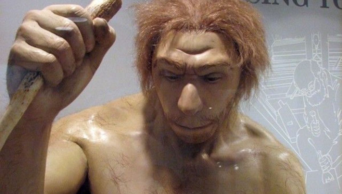 Neanderthal genome shows high levels of inbreeding | IFLScience