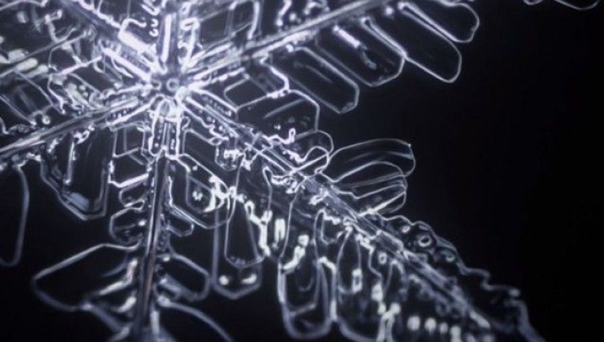 Watch A Snowflake Form Before Your Eyes! | IFLScience