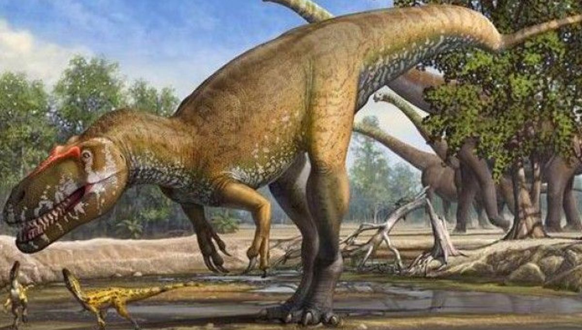 New Dinosaur Was Largest Known Terrestrial Predator Of The Jurassic ...