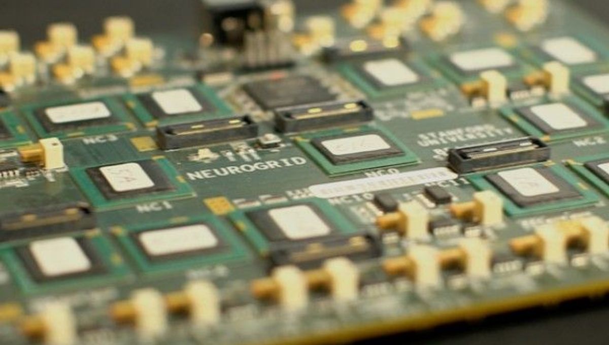 Bioengineers Build Circuit Board Modeled On The Human Brain | IFLScience