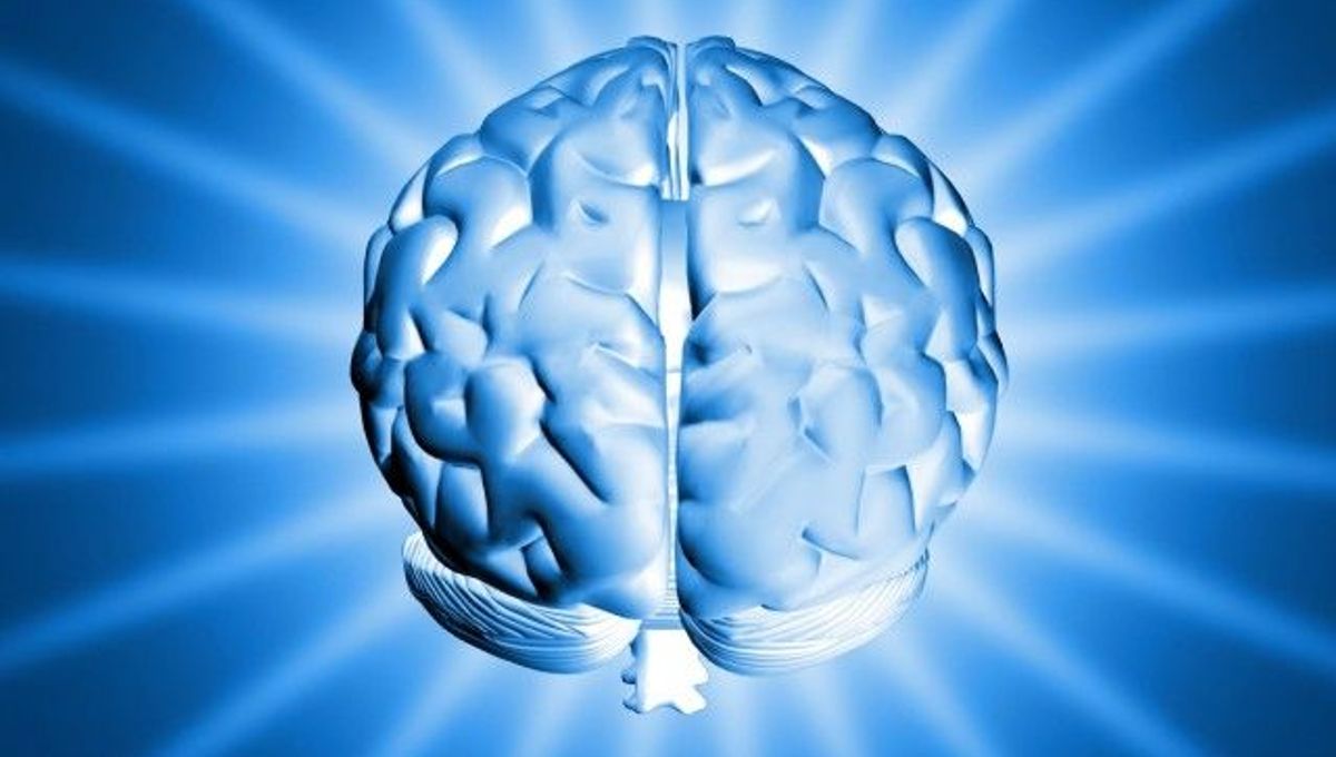 Aging of Brain and Muscles Reversed Through Protein Therapy | IFLScience