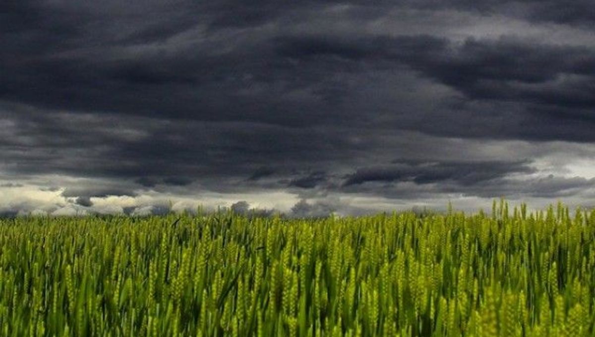 Report: How Climate Change Impacts America | IFLScience