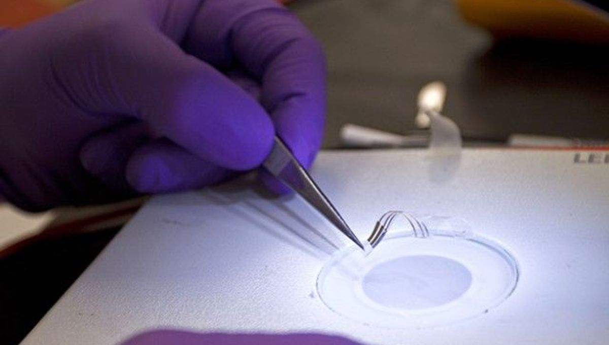 Flexible Electronic Implants Wrap Around Tissues | IFLScience