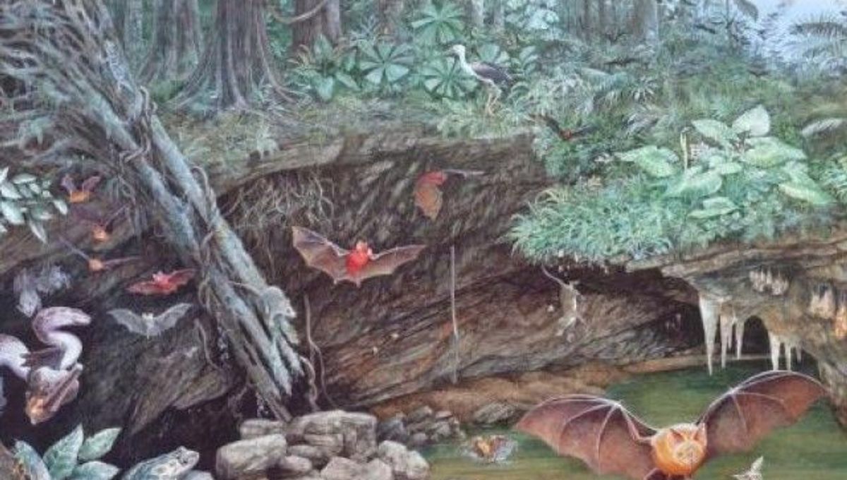 Giant 17 Million Year Old Sperm Found Preserved Iflscience