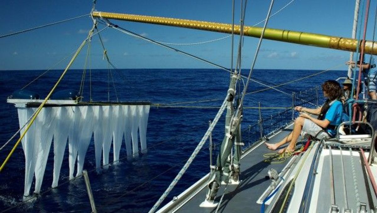 19 Year Old Develops Machine To Clean The Oceans Of Plastic | IFLScience