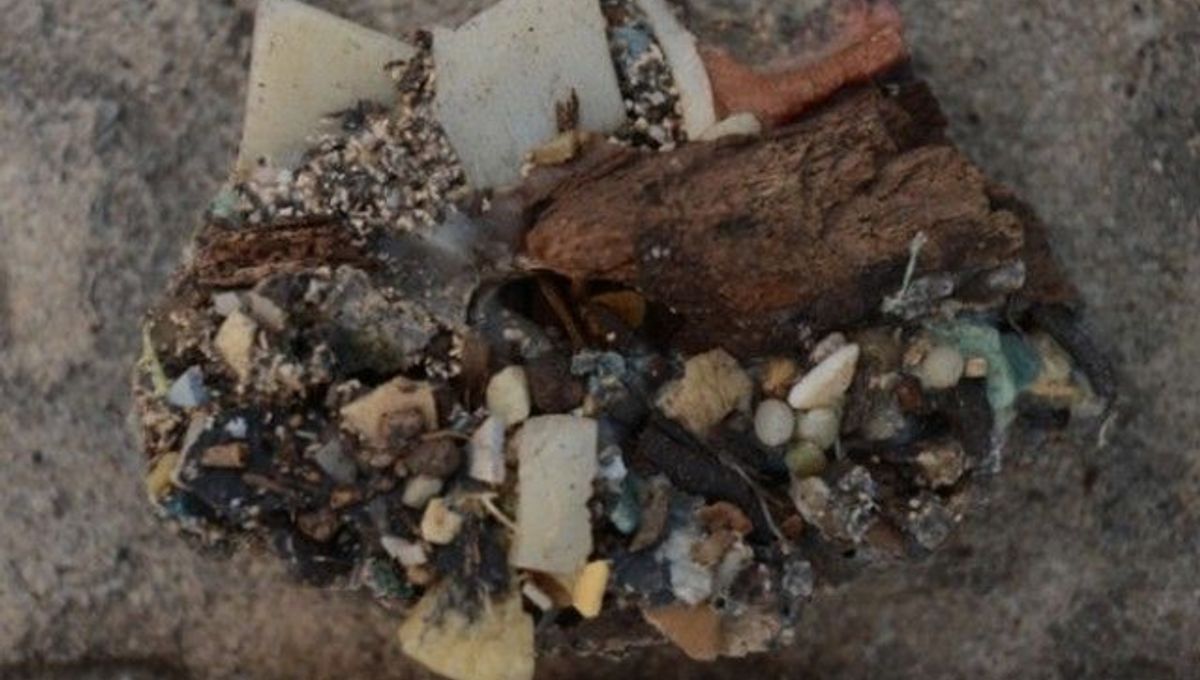 Rocks Formed From Plastic Found On Beach | IFLScience
