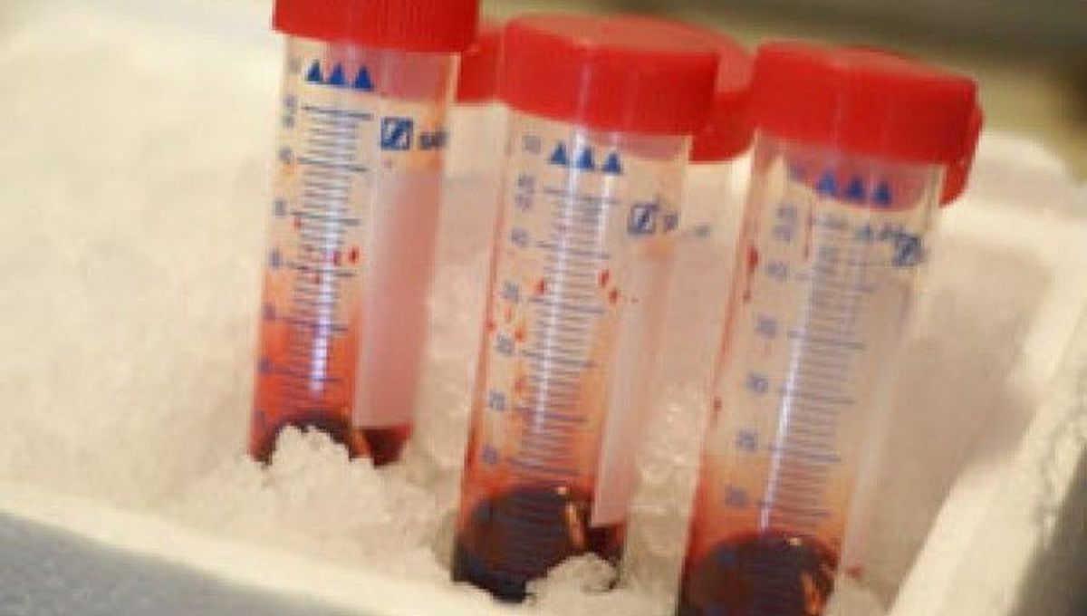 Scientists Make Progress In The Development Of A "One-Size-Fits-All ...