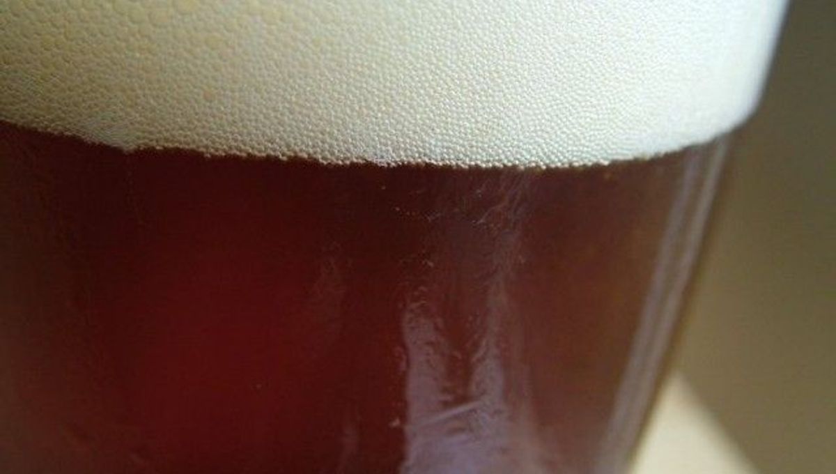 Beer Waste Used To Make Bones | IFLScience