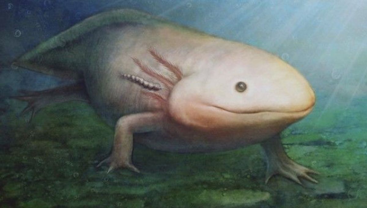 Jurassic Parasite Sucked Salamander Blood | IFLScience