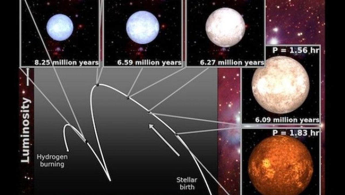 Using Ultrasound to Determine the Age of Baby Stars | IFLScience