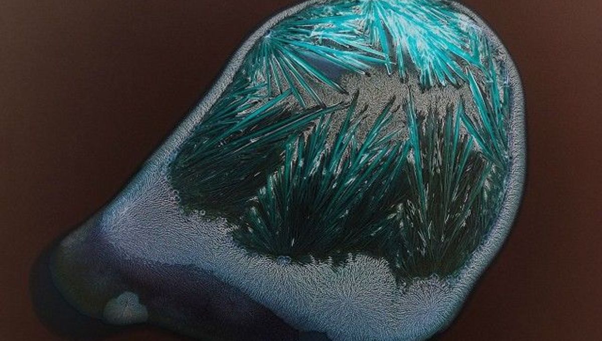 Amazing Photographs Of Drugs Enlarged | IFLScience