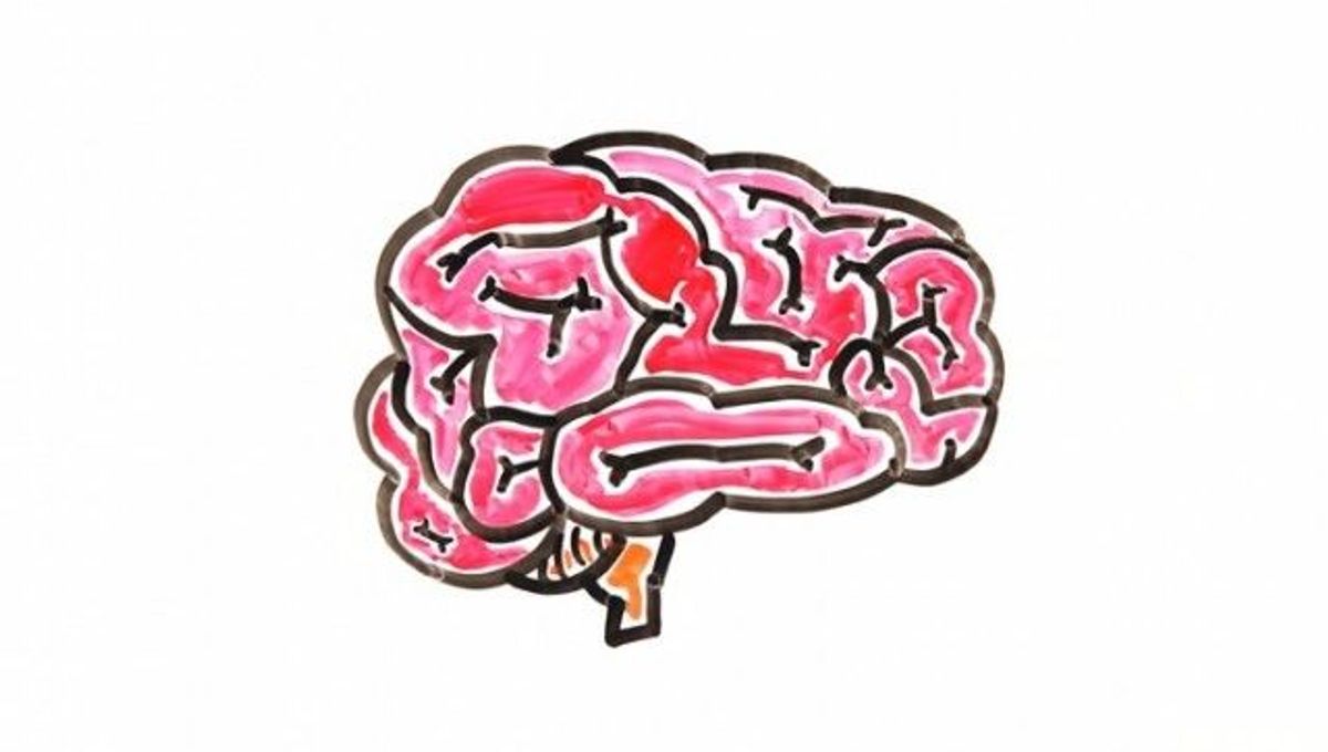 Seven Myths About The Brain That Most People Believe | IFLScience