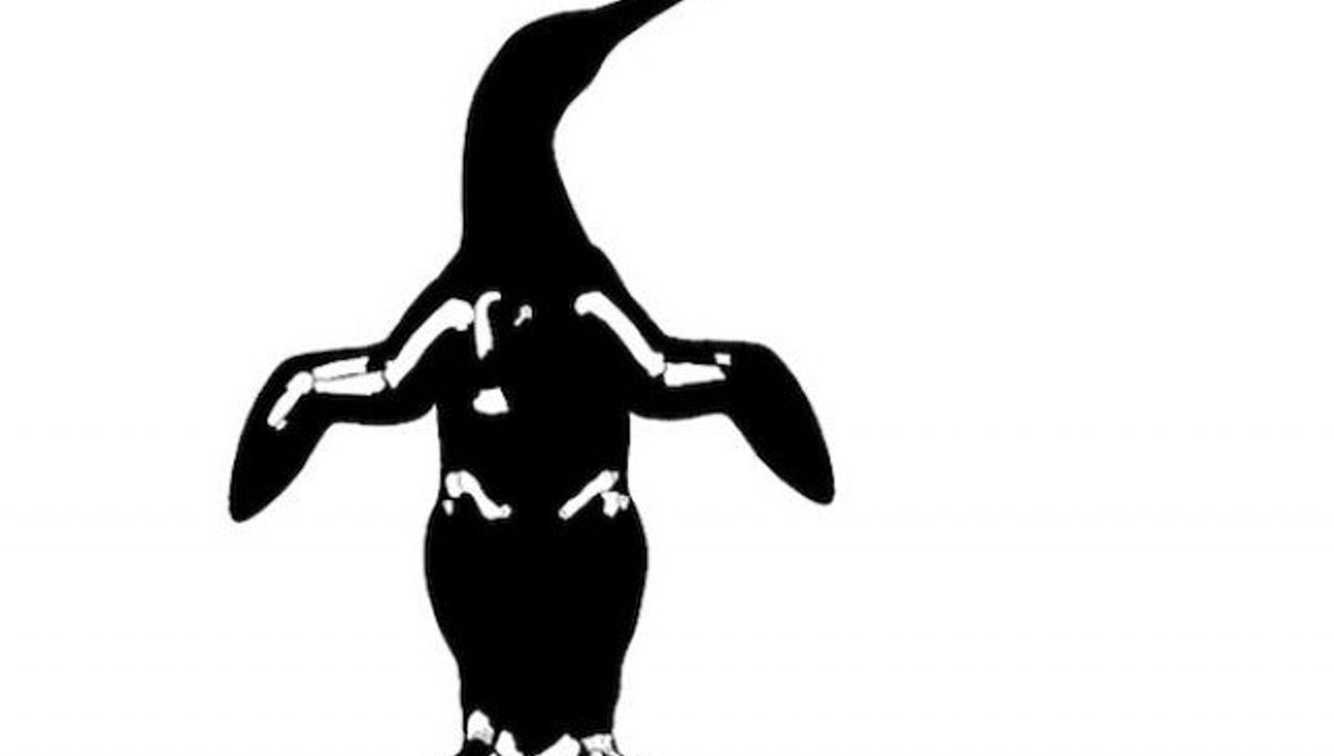 Scientists Discover Fossils from the Most Massive Penguin Ever | IFLScience