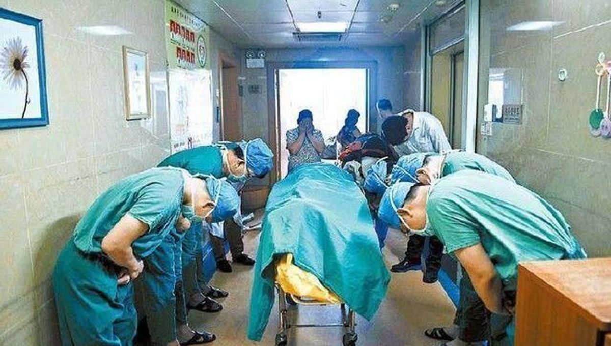 Doctors Bow After 11-Year-Old Brain Tumor Patient Donates Organs ...