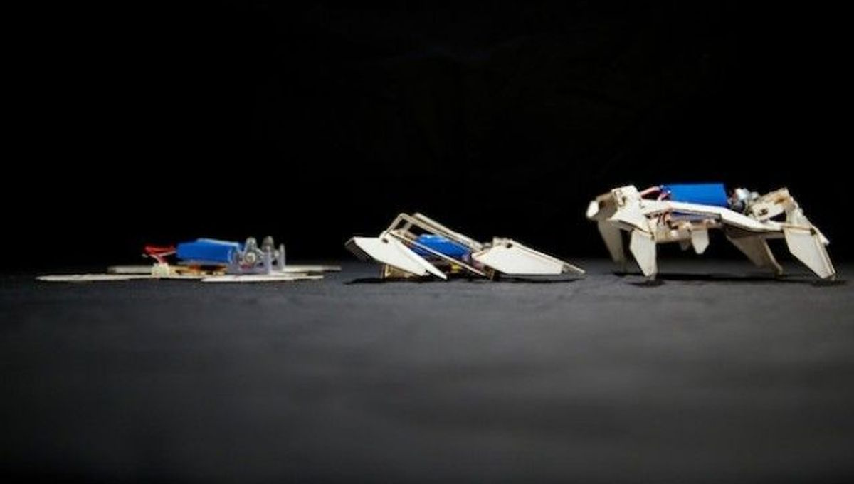 Origami Robot Folds Itself, Then Just Crawls Away | IFLScience