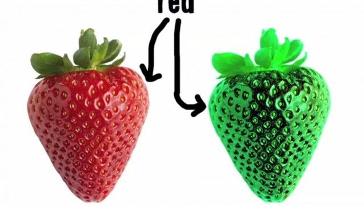 Is Your Red The Same As My Red? | IFLScience