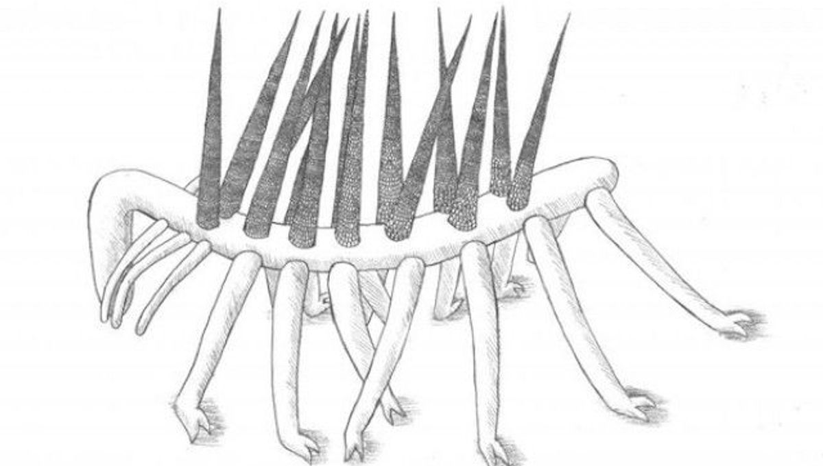 Bizarre 505-Million-Year-Old Spiky Worm Has Living Descendants | IFLScience