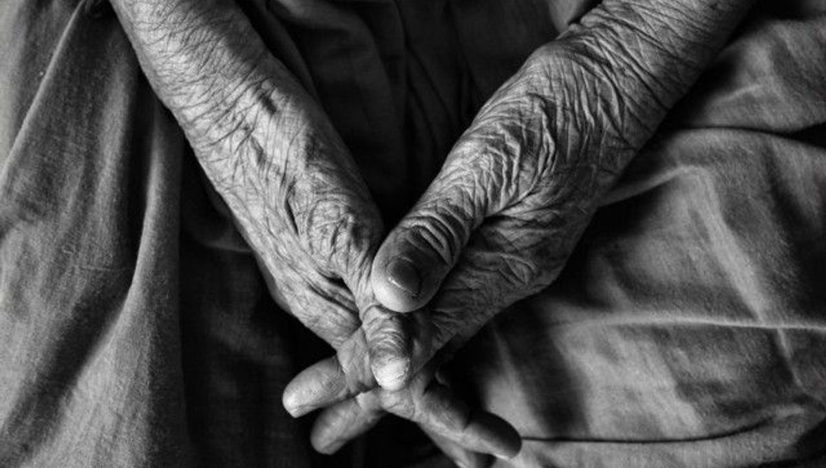 Genetic Secrets Of Longevity Discovered | IFLScience