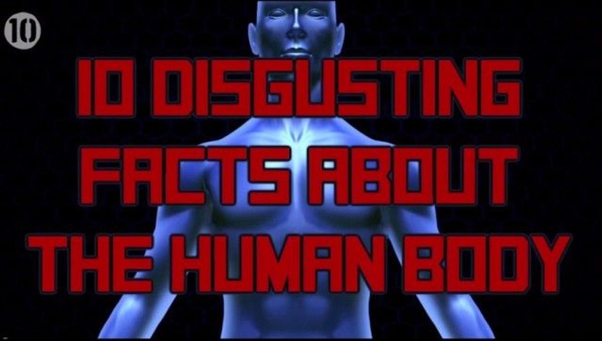 10 Grossest Facts About The Human Body | IFLScience