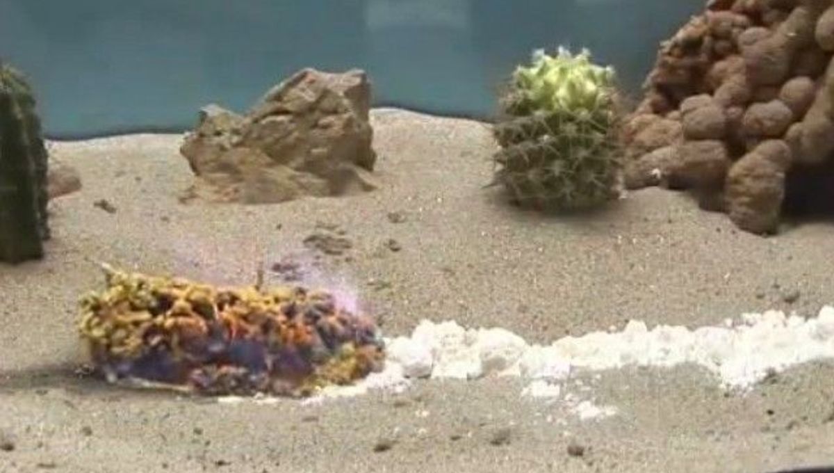 Bizarre Chemical Reaction Looks Like A Portal To Hell | IFLScience