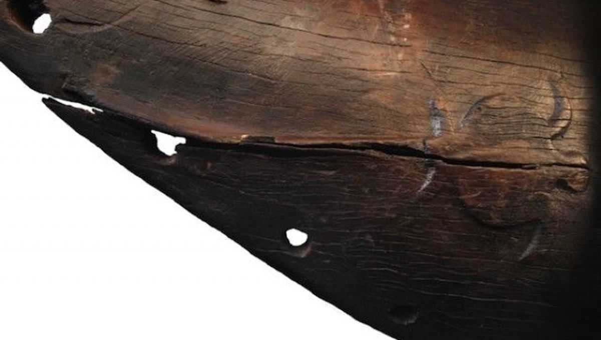 600-Year-Old Canoe Offers Glimpse of Early Polynesian Explorers ...