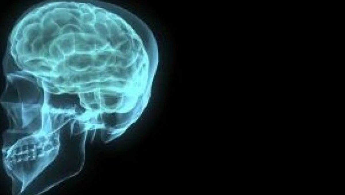 Curiosity Activates Brain To Boost Learning Experience | IFLScience