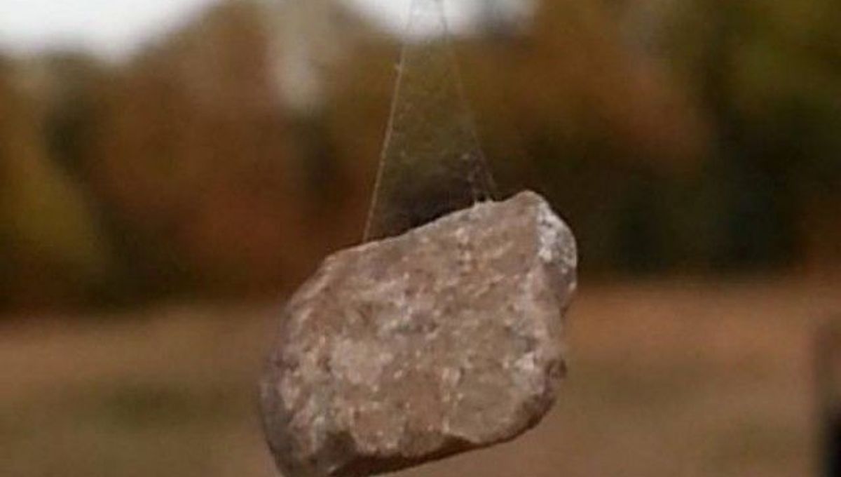 Amazingly Intricate Spider Web Uses Suspended Rock As An Anchor ...