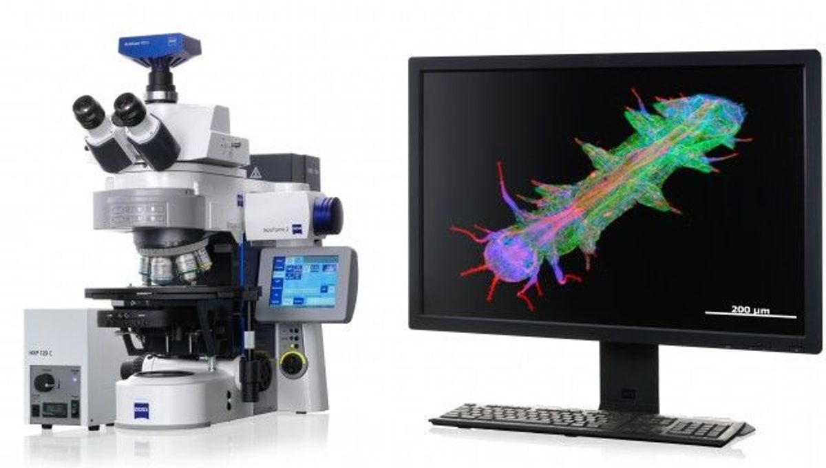 Nobel Prize in Chemistry Awarded to Scientists for Microscope ...