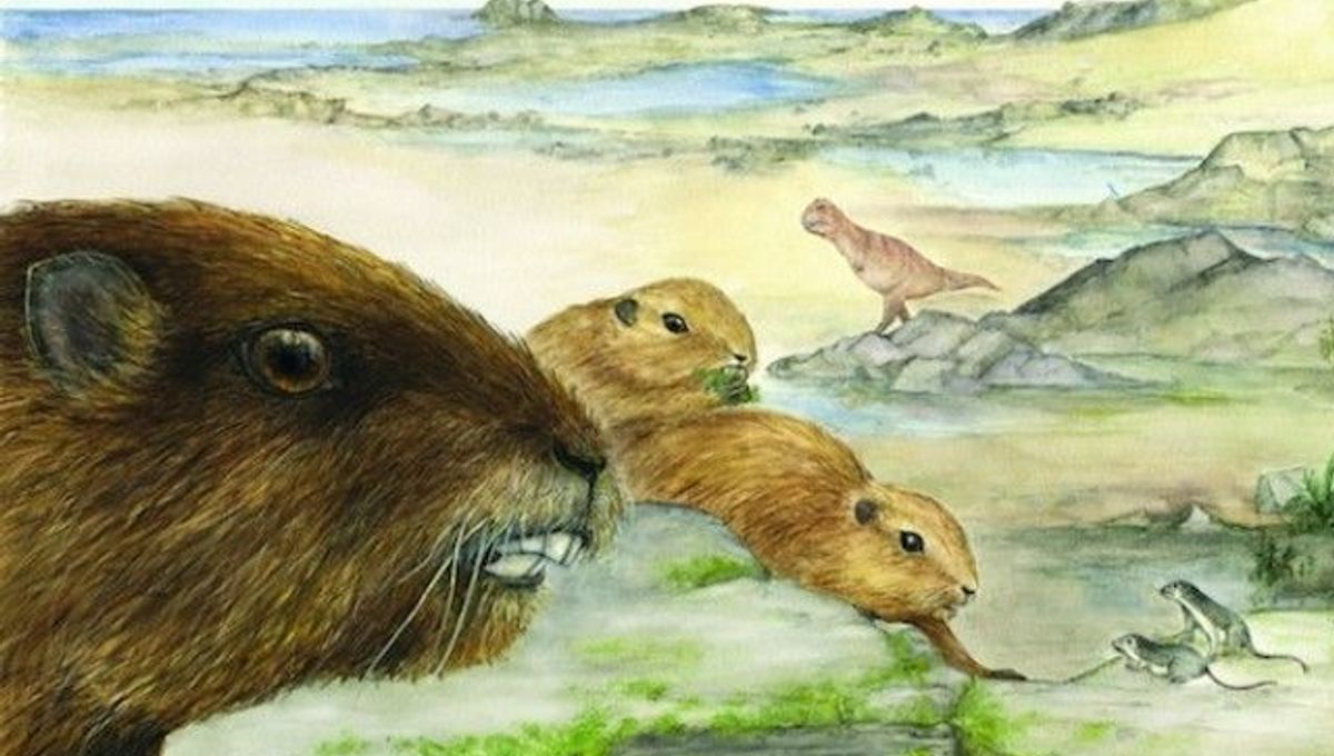 Giant Groundhog-Like Mammal Lived Among Dinosaurs | IFLScience