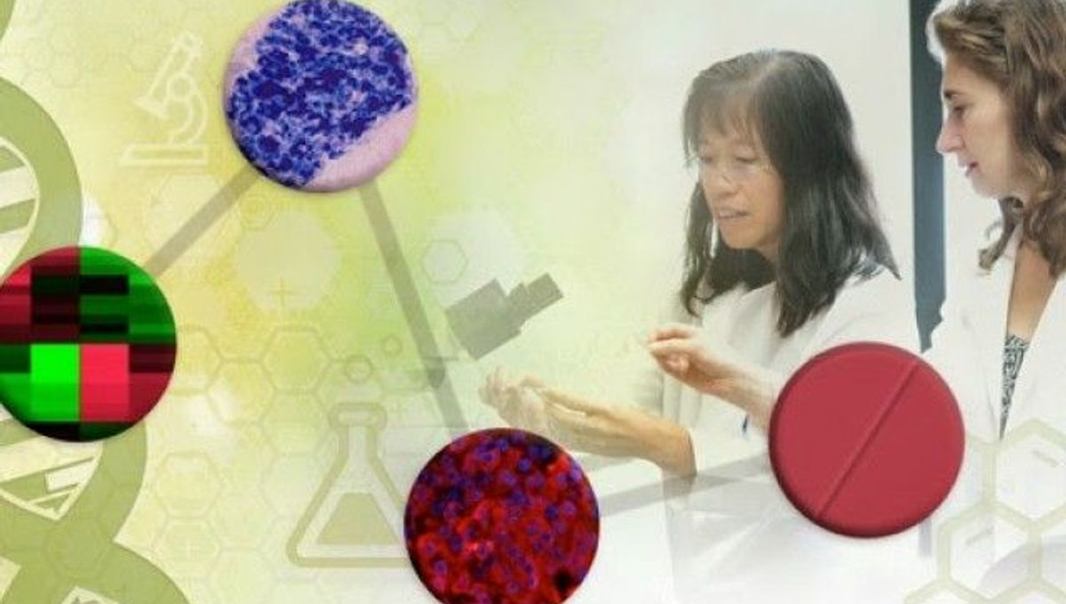 Cheap Blood Pressure Drug Cures Diabetes In Mice, Human Trials ...