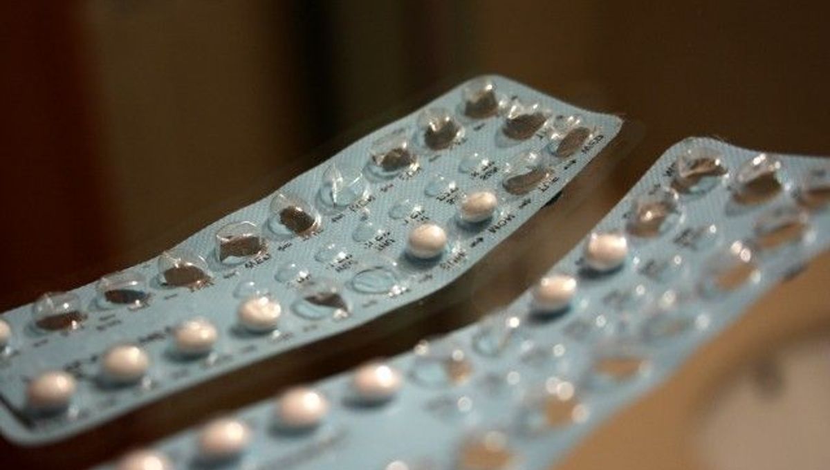 Contraceptive Pill Associated With Changes In Brain Structure | IFLScience
