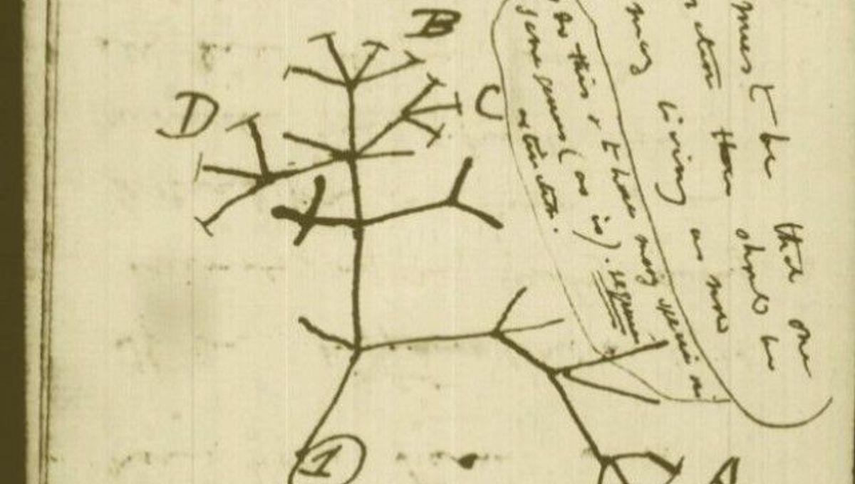 Thousands Of Darwin's Hand-Written Manuscripts Made Available Online ...
