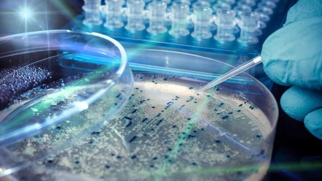 Scientists Design Biological Safety Switch For GMOs | IFLScience