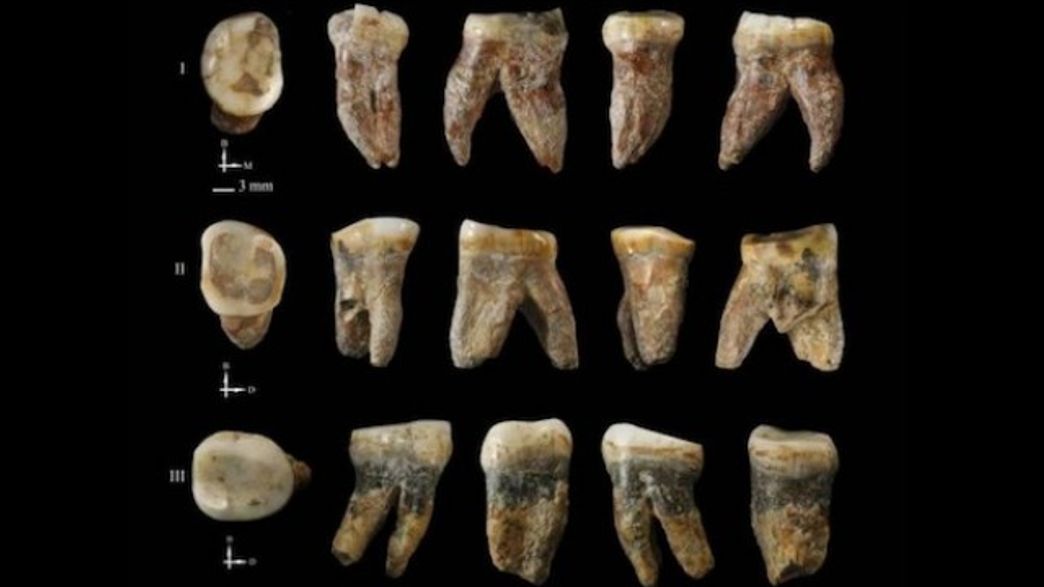 Fossils From Unknown Species Of Human Discovered | IFLScience