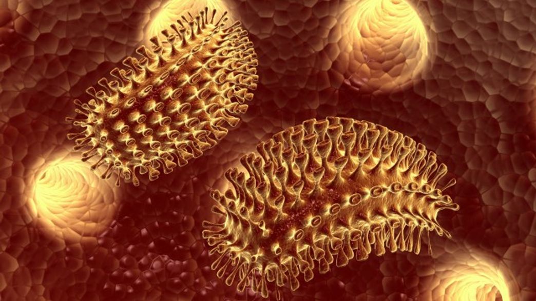 Promising Rabies Treatment Cures Mice After Symptoms Appear | IFLScience