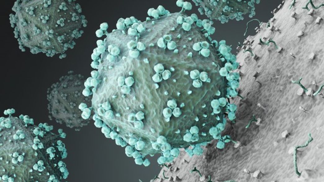 Scientists Gain New Insight Into The Cells That Harbor Hidden HIV ...