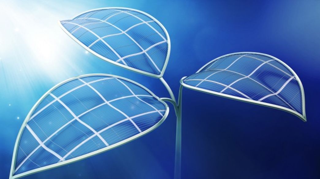 Bionic Leaf Uses Bacteria To Convert Sunlight Into Fuel | IFLScience