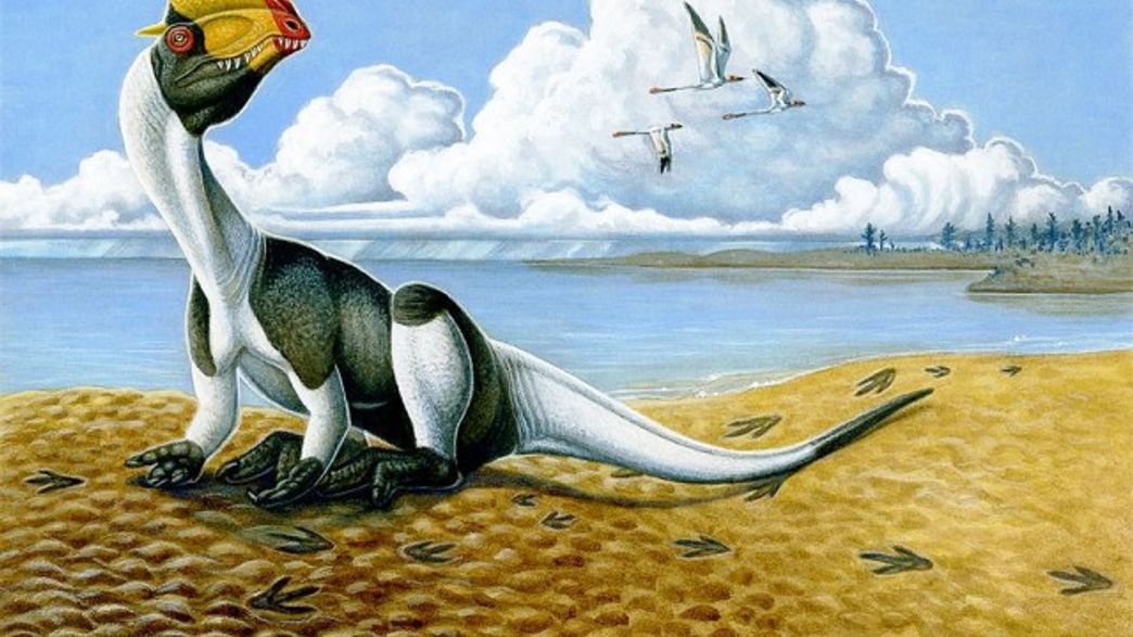 New Fungal Find Suggests Dinosaurs Did Drugs Too | IFLScience