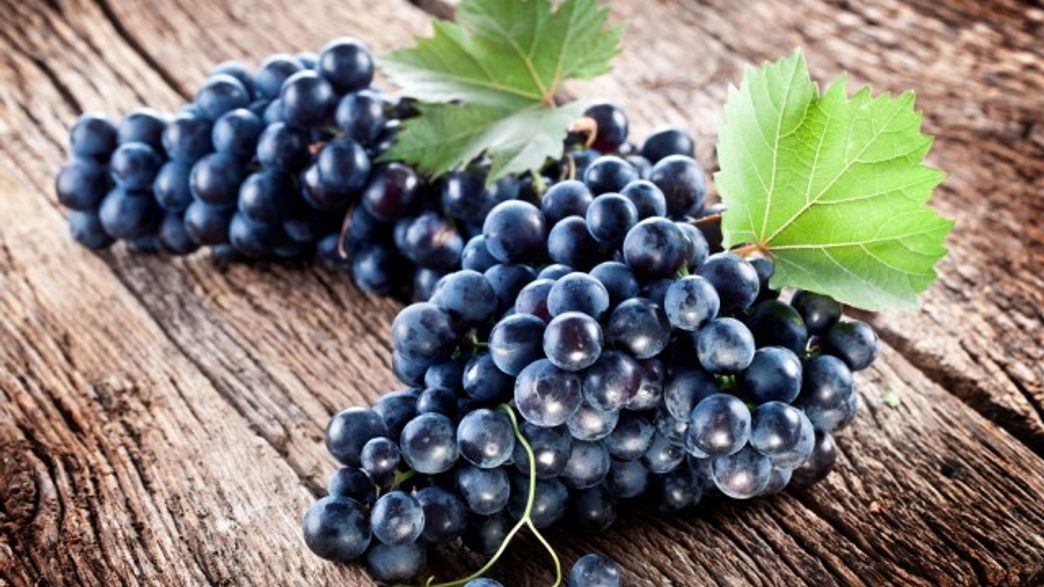 Dark Grape Compound May Help The Body Burn Fat | IFLScience