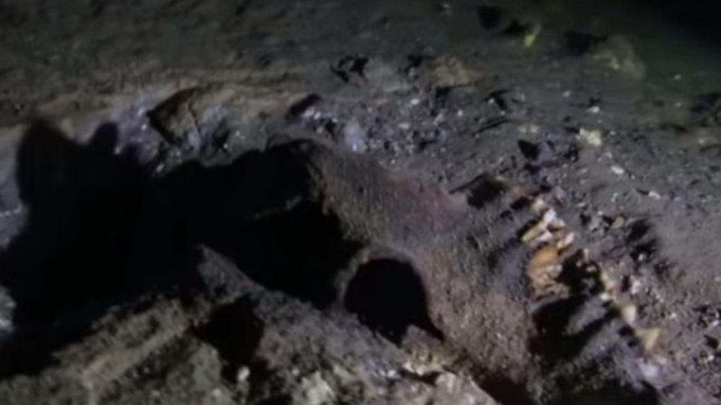 Bones of Gorilla-Sized Lemur Found in Underwater Graveyard | IFLScience