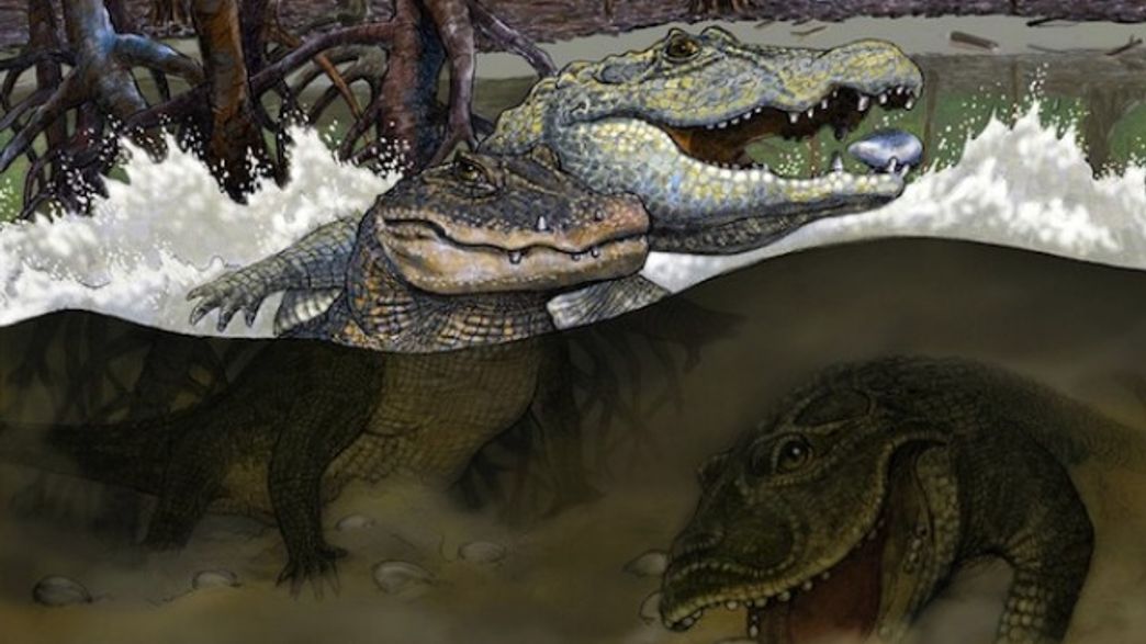 Diverse Croc Communities Shared Mega-Wetlands 13 Million Years Ago ...
