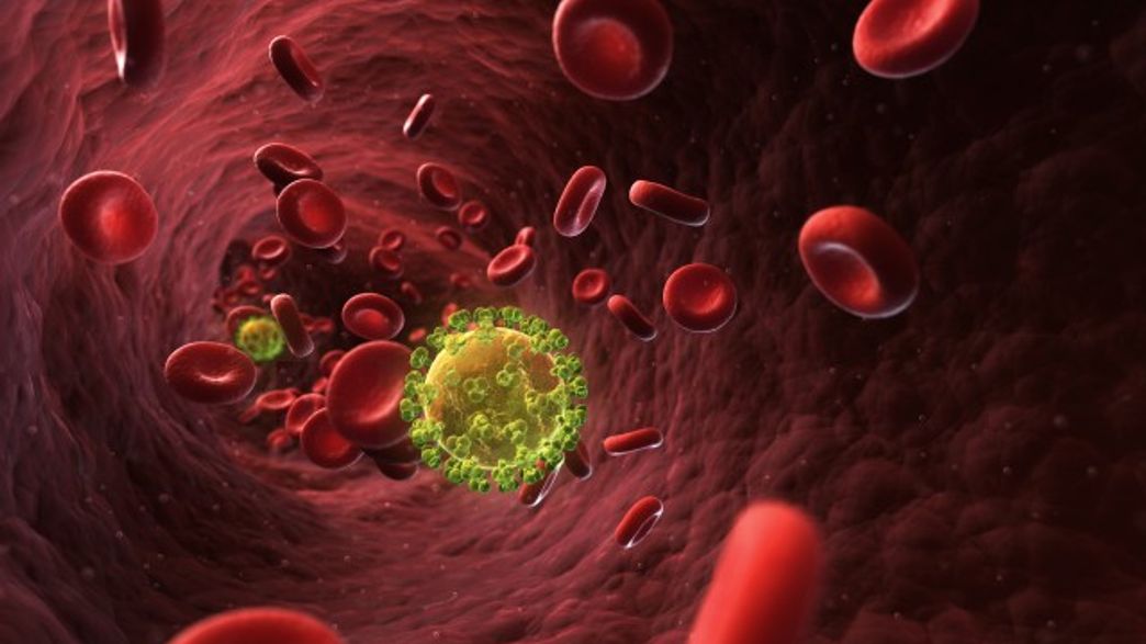 Whole-Body Imaging Reveals AIDS Virus' Hiding Spots | IFLScience