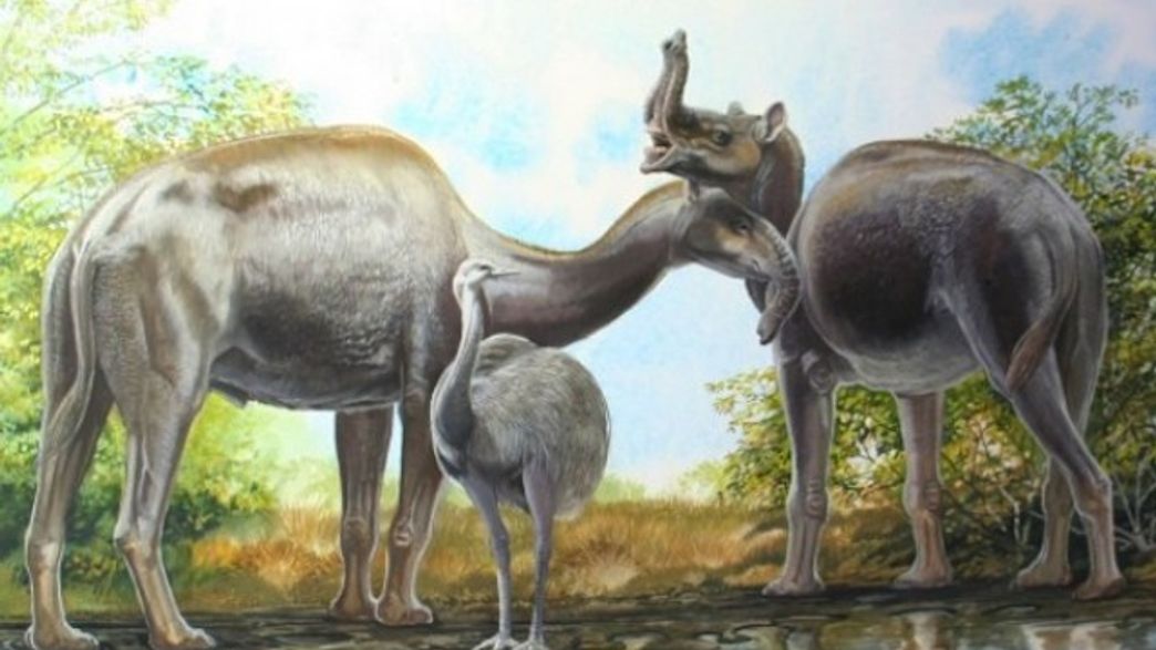 Researchers Solve The Centuries Old Mystery Of Darwin S Strangest
