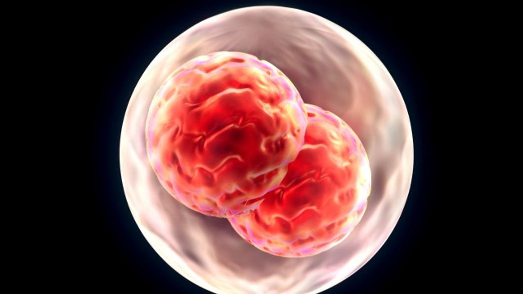 World First: Scientists Modify The Genomes Of Human Embryos | IFLScience
