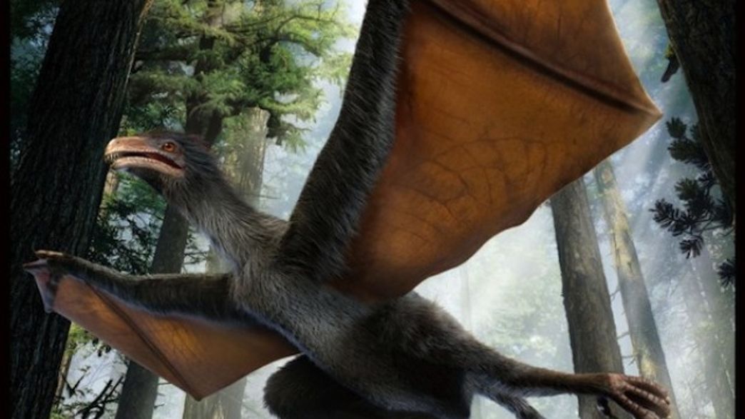 Newly Discovered Dinosaur had Wings like a Bat | IFLScience