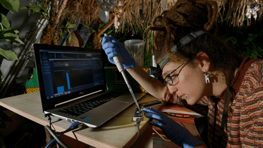 Portable DNA Sequencer Identifies Species From The Field | IFLScience