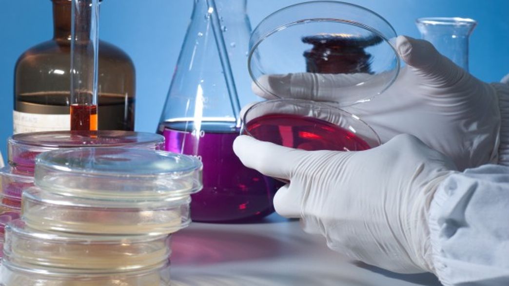 Personal Microbiomes Could Be Used To Identify Individuals | IFLScience